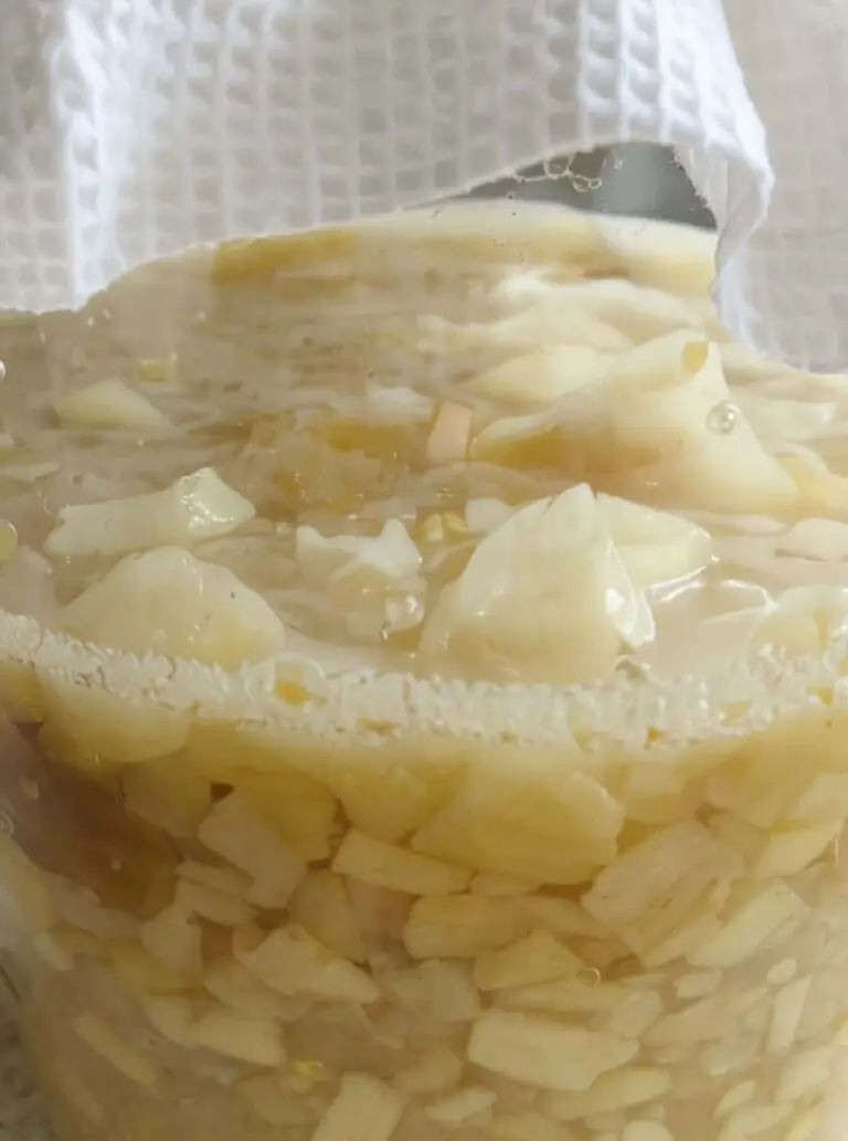 Ginger Bug Recipe | A Simple Method That Actually Works