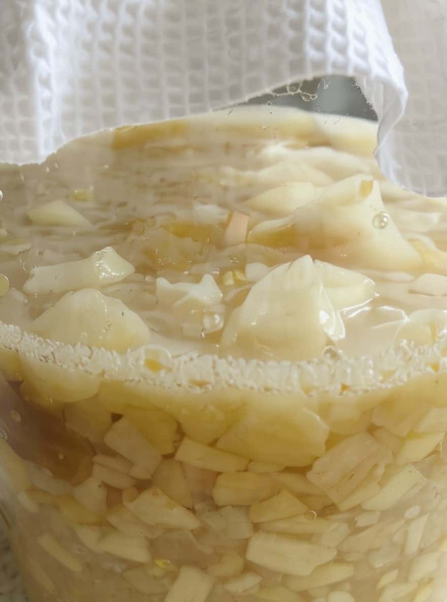 Ginger Bug Recipe | A Simple Method That Actually Works