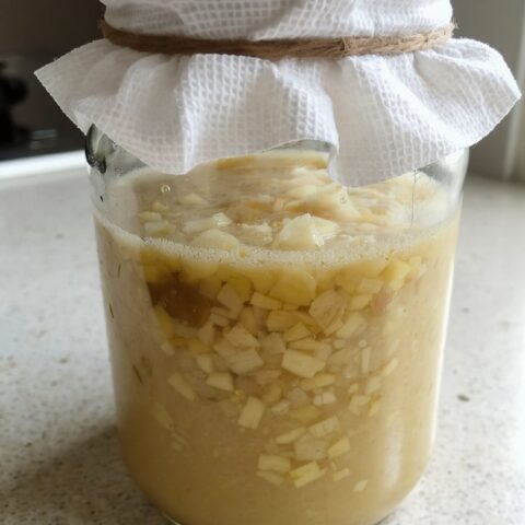 Ginger Bug Recipe | A Simple Method That Actually Works